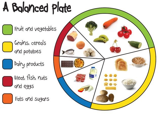 The Importance Of Healthy Eating Our Aim Clowns Nursery The Importance Of Healthy Eating Our Aim Clowns Nursery